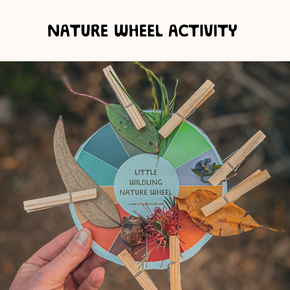 Nature Resources – Little wildling